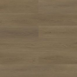 Paradigm Performer Plus Falcon On Sale Today.
